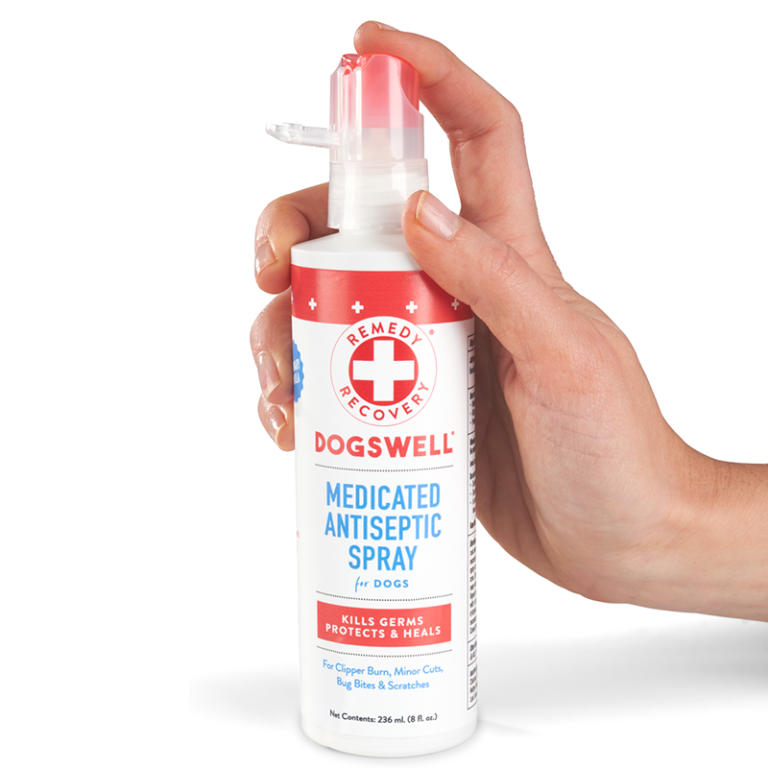 Medicated Antiseptic Spray – Dogswell